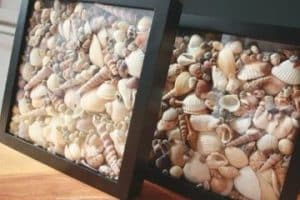 4 ideas para manualidades con conchas de mar