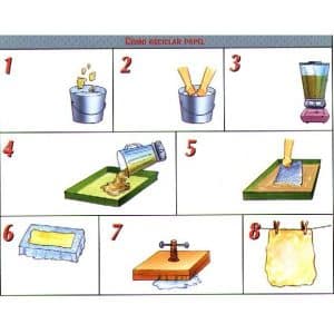 Los 7 pasos de como hacer papel reciclado en casa